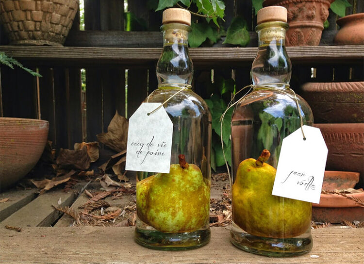 Немецкий шнапс из яблок, груш и самогона – как приготовить напиток дома